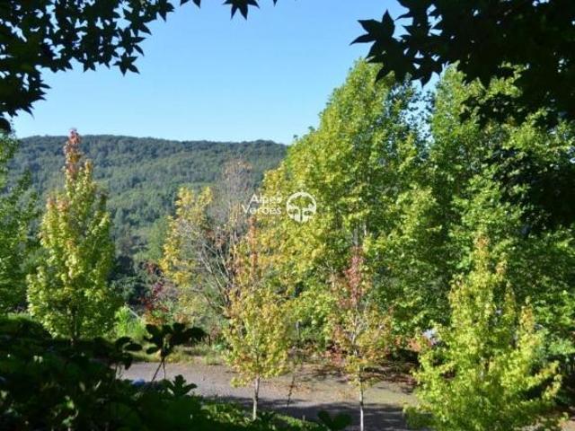 Vende se área na Linha Bonita em Gramado 9,42 hectares R$12.500.000,00