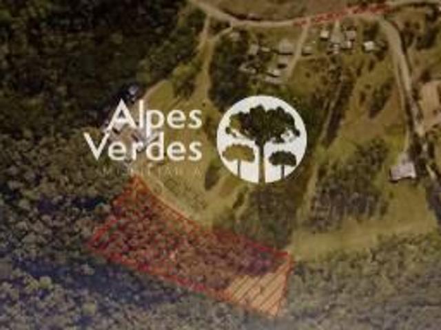 VENDE SE ÁREA DE 3,8 HECTARES EM CANELA, A 10 MINUTOS DA CATEDRAL DE PEDRA