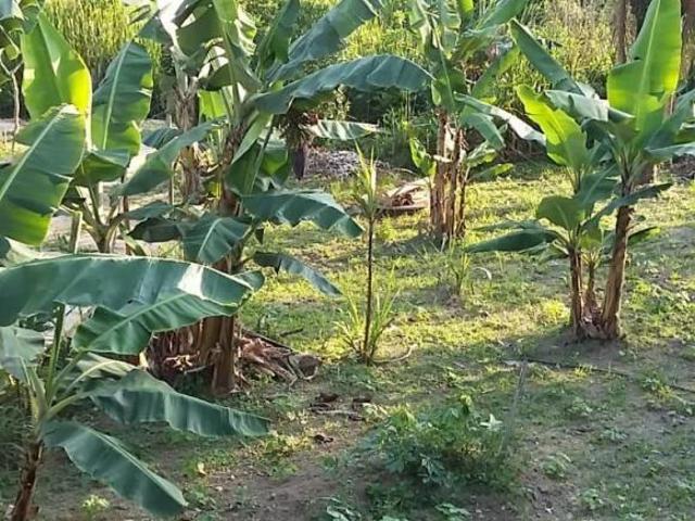 vende se bela casa