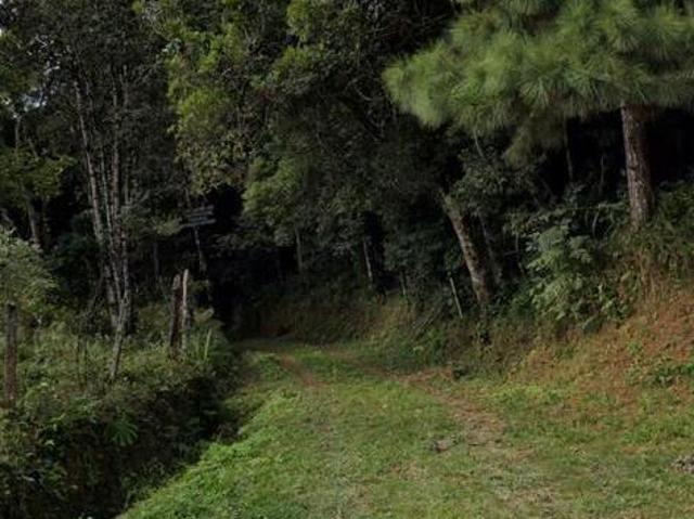 Vende se Chácara com Rio Piraquara Roça Nova 162.140,69 m²