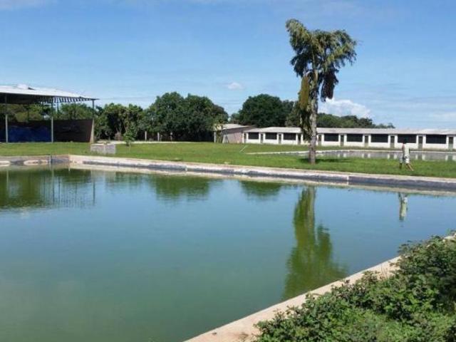 VENDE SE EXCELENTE PROPRIEDADE RURAL – ROTA DO CAVALO | PRÓXIMO A BRASÍLIA