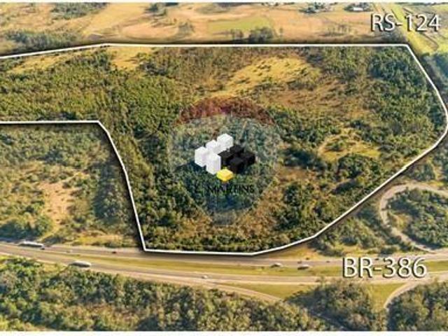 Vende se Fazenda, Área Rural em Montenegro 40 hectares RS
