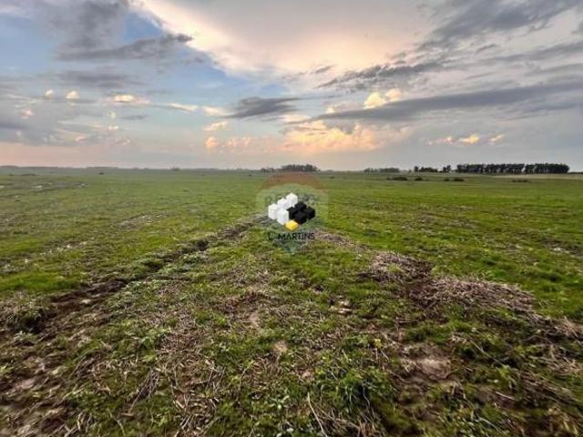 Vende se Fazenda Área Rural em São Gabriel Lavoura e Pecuária