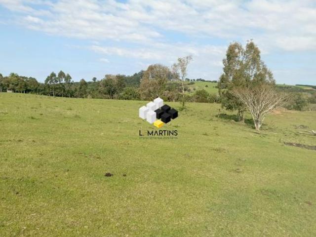 Vende se Fazenda Área Rural em Tapes RS Lavoura e Pecuária