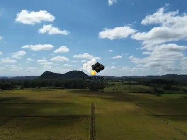 Vende se Fazenda Área Rural Lavoura Plantação de Arroz em Montenegro RS