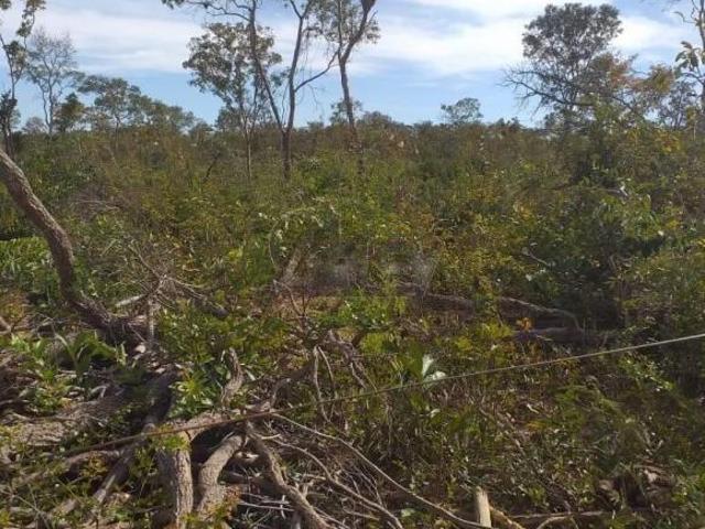 Vende se fazenda com 46 hectares em Santa Fé de Minas