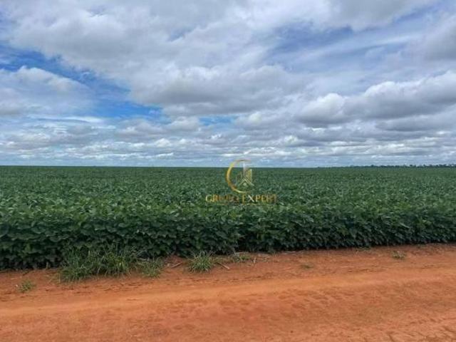 Vende se Fazenda com 1.848 Alq. Goiano 8.949 ha Nova Ubiratã MT