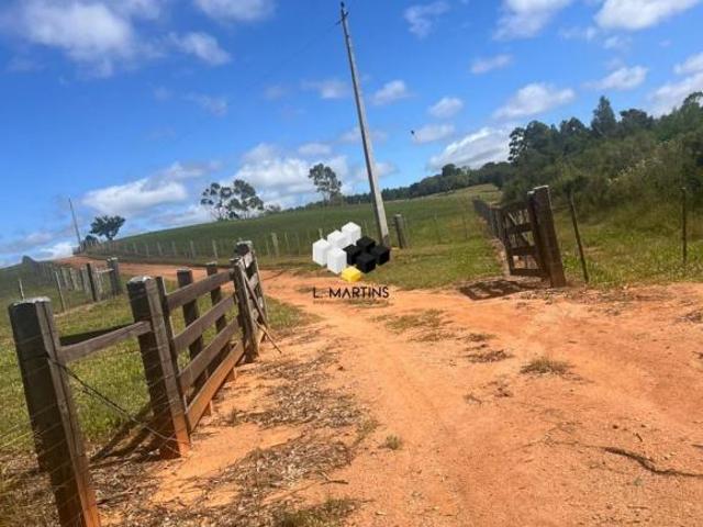 Vende se Fazenda em Sertão Santana 30 Hectares toda ela piqueteada 5 piquetes três galpões