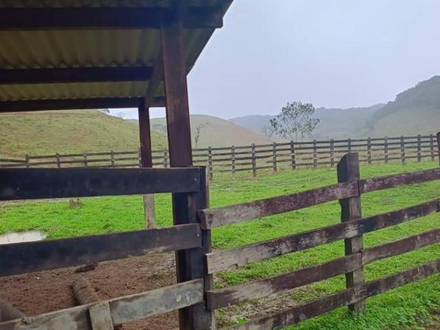 VENDE SE ÓTIMA FAZENDA DE 180 45.000,00 por alqueires