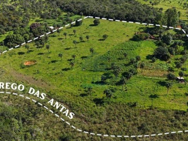 VENDE SE SITIO COM EXCELENTE QUALIDADE DE PASTO E ACESSO A AGUA