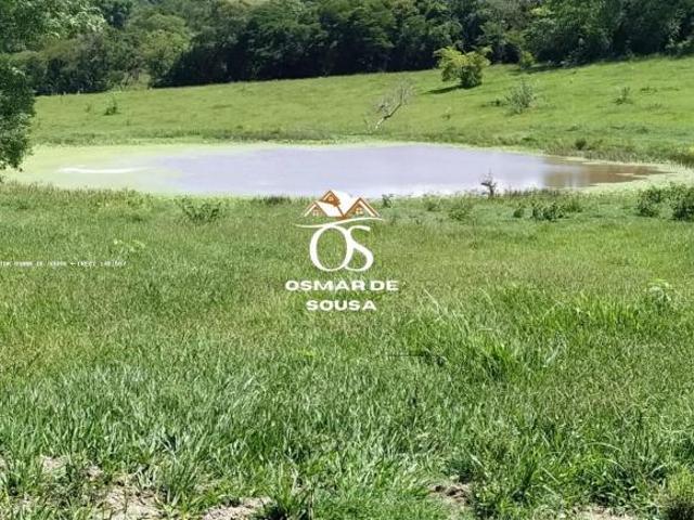 Vende se Sítio de 3,8 Alqueires em Cesário Lange SP
