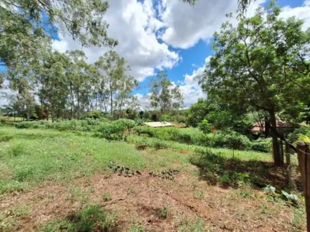 Vende se Sítio em Santo Antônio da Alegria SP 18,5 hectares