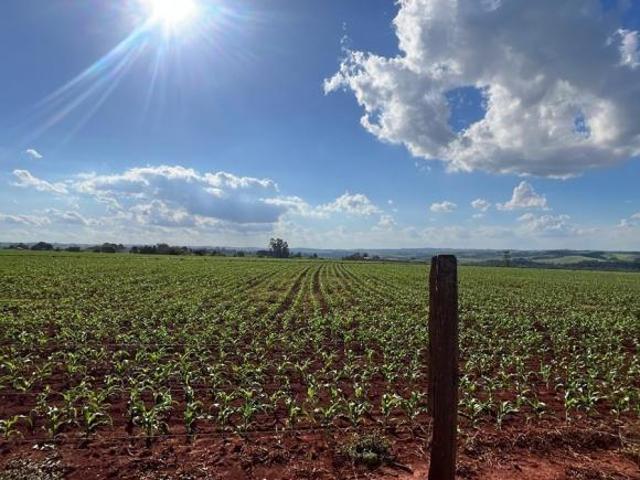 Vende se Sitio Itapetininga/SP Área: 52.372 m2 2,16 alq. Bairro: Sabia una Topografia: Plana So