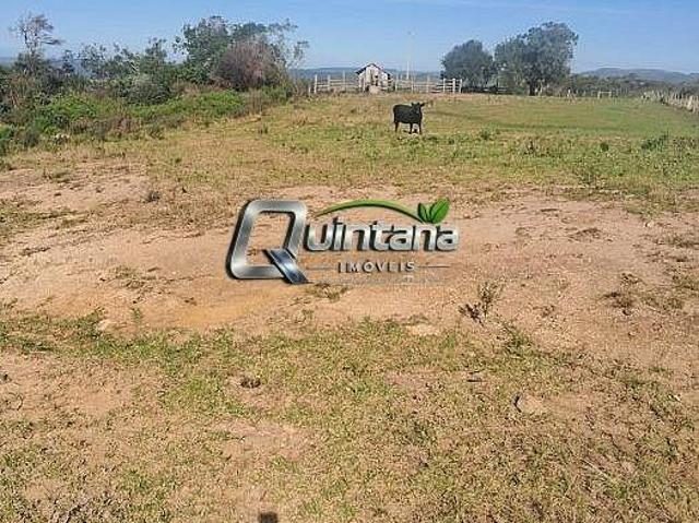 vendo 414 hectares em Pinheiro Machado