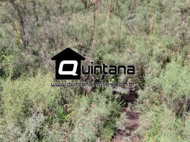 Vendo 42 hectares em pedras Altas