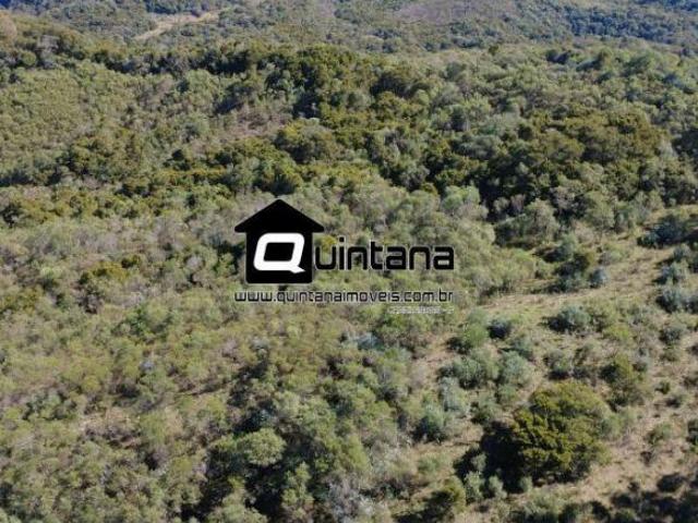 VENDO 42 HECTARES EM SANTANA DA BOA VISTA