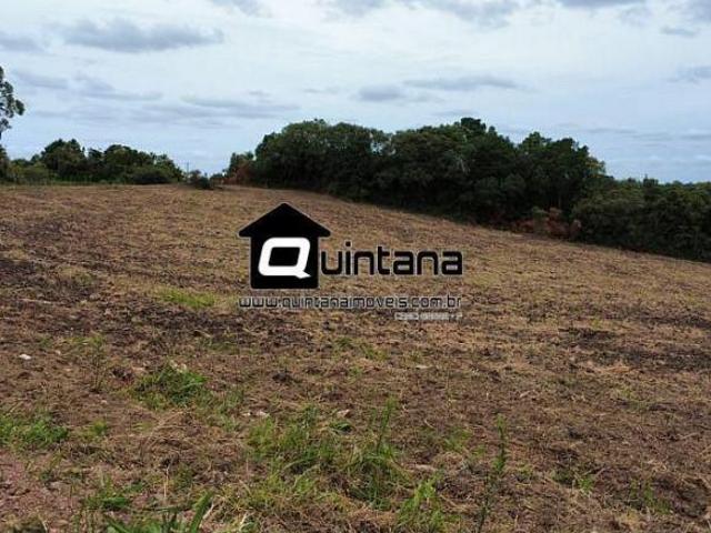 vendo 63 hectares em Sentinela do Sul