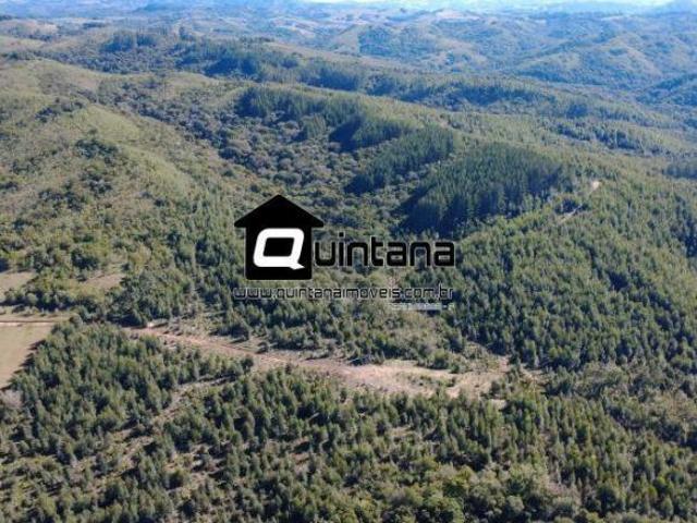 VENDO 83 HECTARES COM REFLORESTAMENTO