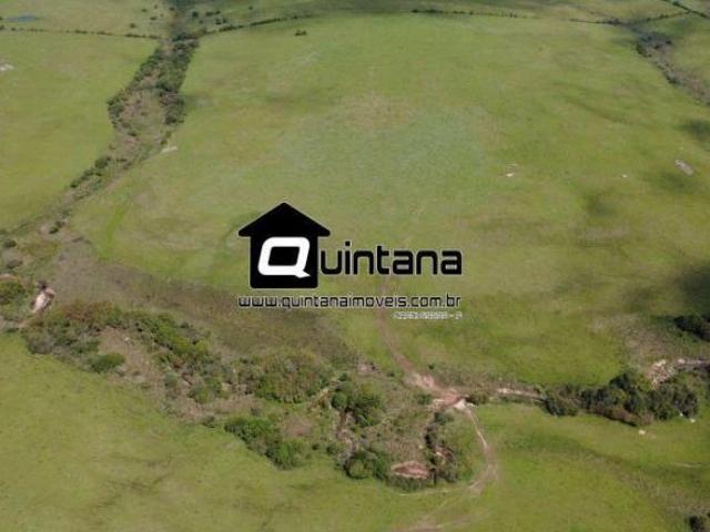 VENDO 80 HECTARES EM SANTANA DA BOA VISTA