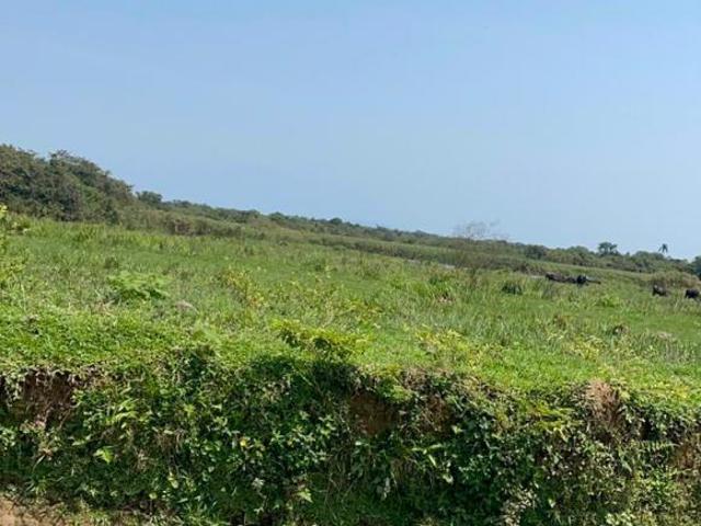 Vendo 115 alqueires / 2000mil lotes de 500m² aprovado / Avaliado 29milhoes