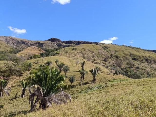 Vendo 30 alqueires de terra