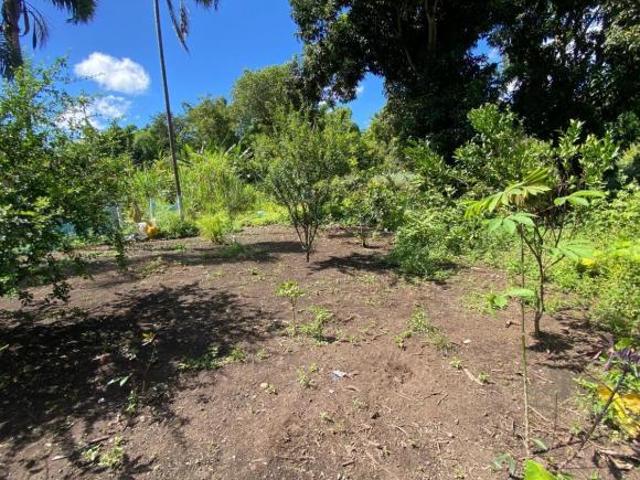 VENDO TERRENO NA QUADRA 01 DO PARK WEY COM 1700m2 AC CARRO E OUTRO IMÓVEL!