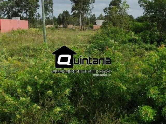 Vendo terreno no Capão do Leão zona industrial 550m²