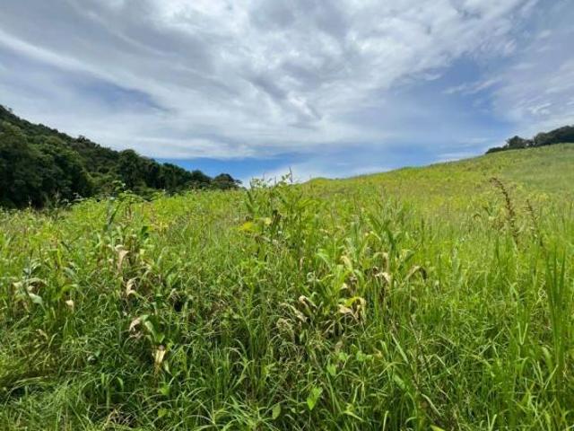 Vendo terreno de 1000m² em Ibiúna – pré lançamento