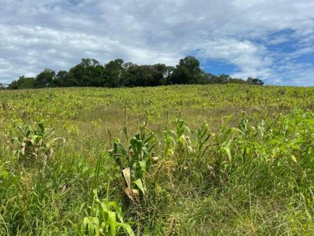 Vendo terreno de 1000m² em Ibiúna – pré lançamento