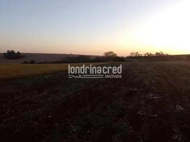 Vendo Terreno de 40.000m² Próximo a Ibiporã Ótimo para Investimento, Loteamento, Agricultura ou Chá