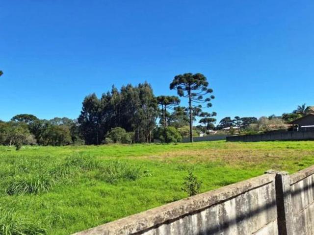 Vendo Terreno de 5544 m² à venda em Novo Mundo