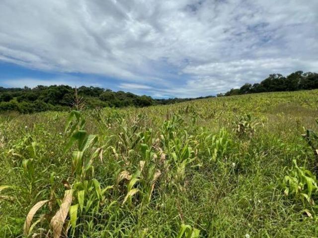 VENDO TERRENO DE 500M EM IBIUNA POR APENAS R$35MIL