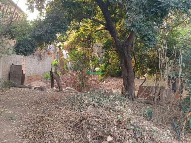 VENDO TERRENO EM ÁREA COMERCIAL NO PIEDADE SL MG