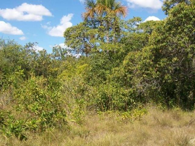 VENDO TERRENO EM ARINOS MG SENDO MAIS DUAS ÁREAS DE 45 HECTARES VENHA CONFERIR!