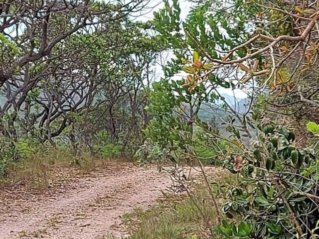 VENDO TERRENO EM CAETÉ QUINTAS DA SERRA