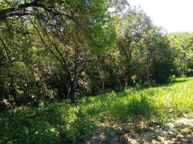 Vendo terreno rural em Jundiaquara