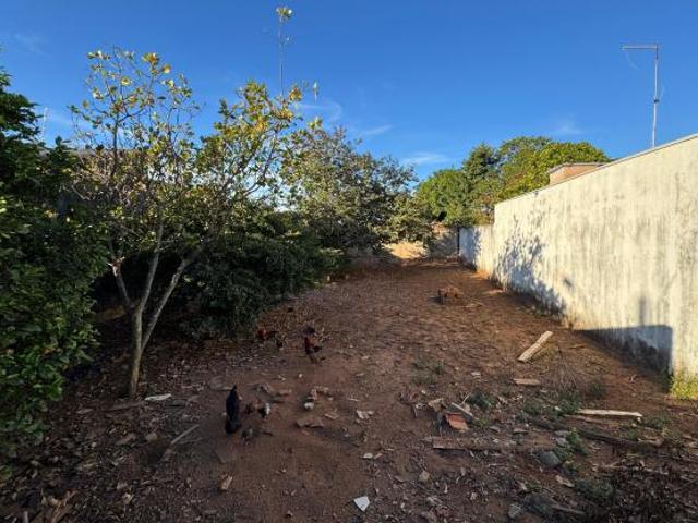 VENDO TERRENO TODO MURADO NO JARDIM VENEZA 2 – PIRASSUNUNGA