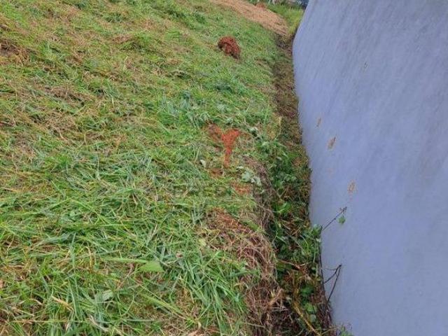 Vendo Terreno 250 m, no Loteamento Conquista Piracicaba