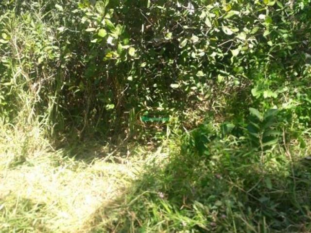 VENDO TERRENO/CHÁCARA NO GOIABEIRAS SL MG