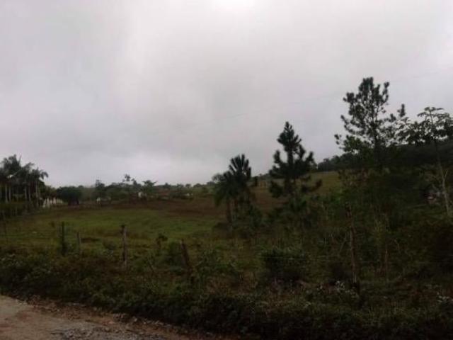 VENDO TROCO SITIO 55 HECTARES EM PARIQUERA AÇU 4272