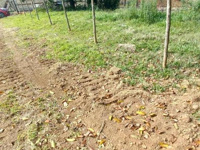 Vendo uma chácara linda, com pequeno pomar e com ótima localização no bairro Retiro, muito perto da
