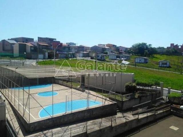 VENDO APARTAMENTO 2 DORMITÓRIOS NO COSMOS CAMPINAS SP