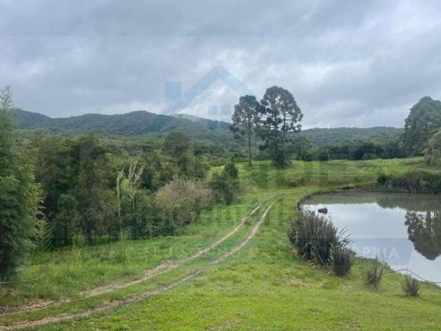 Vendo área com 50 alqueires — São José dos Pinhais/PR