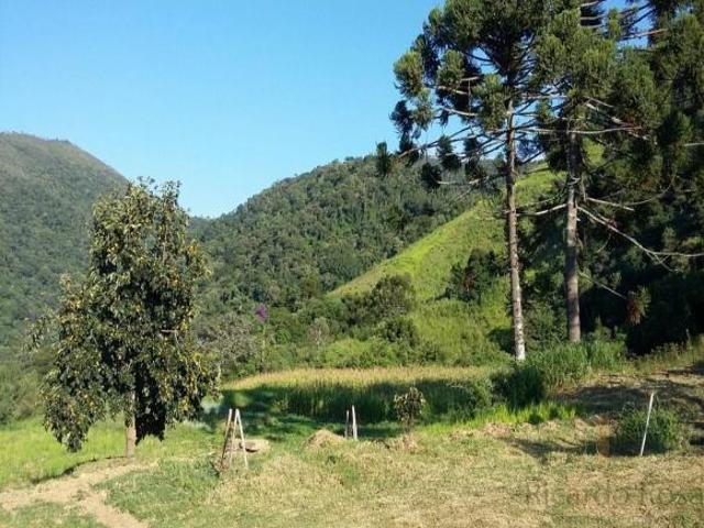 Vendo área com 10.88.71 ha certificada orgânica desde 2009, com 13 mil pés de café nota 93 em 2018 e