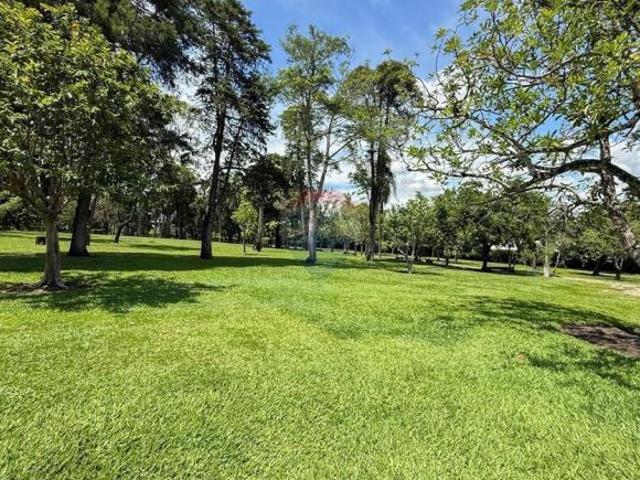 Vendo área com 33 mil mt2, com 4 casas impecáveis, em Sorocaba, oportunidade para investidor