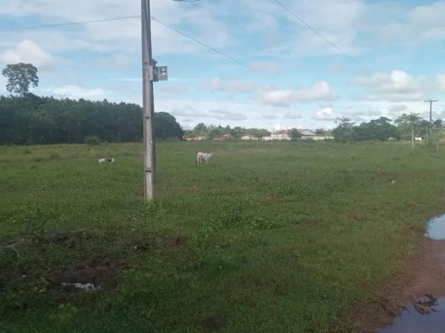Vendo area de terra grande brnevides