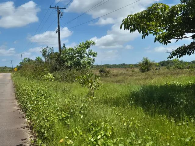 Vendo area 23 ha 99 a 25 ca km 11