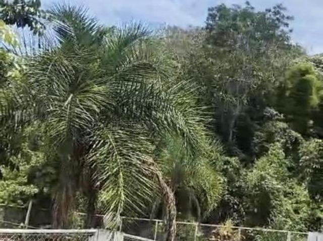 VENDO BELÍSSIMA CHÁCARA COM CASA DE ANDAR PISCINA AÇUDE POMAR AC IMÓVEL E CARRO!