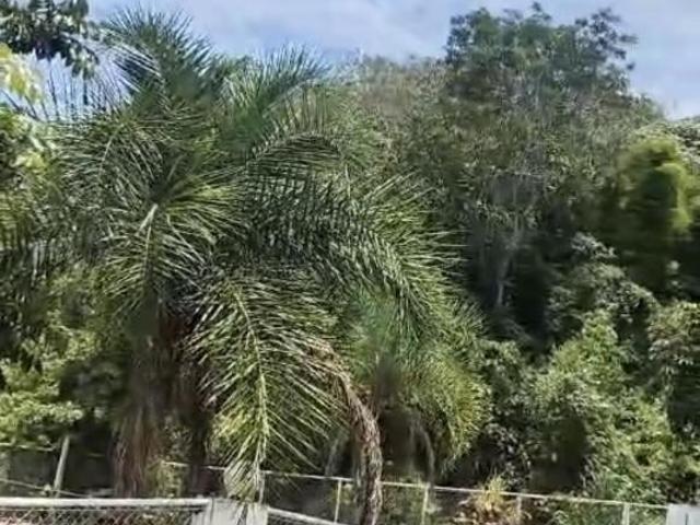 VENDO BELÍSSIMA CHÁCARA COM CASA DE ANDAR PISCINA AÇUDE POMAR AC IMÓVEL E CARRO!