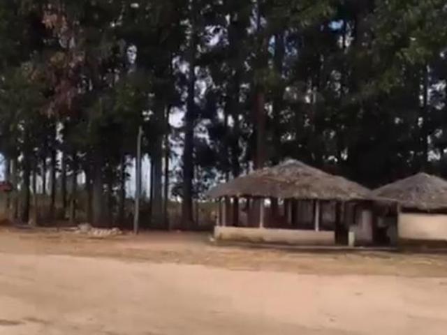 VENDO BELÍSSIMA FAZENDA COM 15.000 MIL HECTARES A R$ 6 mil O POR HECTARE!